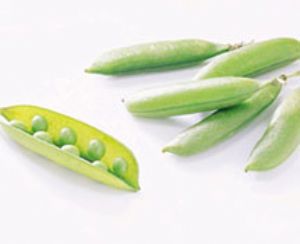 豌豆_豌豆的功效、营养价值_医学百科